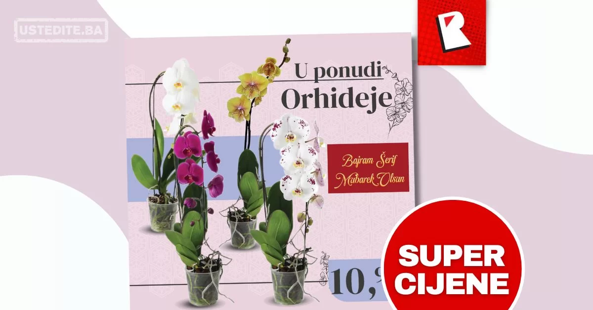 Robot ORHIDEJE SUPER CIJENA - juni 2024. - ustedite.ba