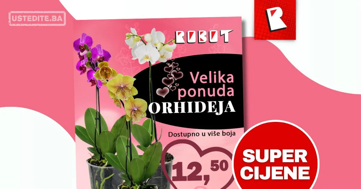 Robot velika ponuda ORHIDEJA od 12.2.2026. - ustedite.ba